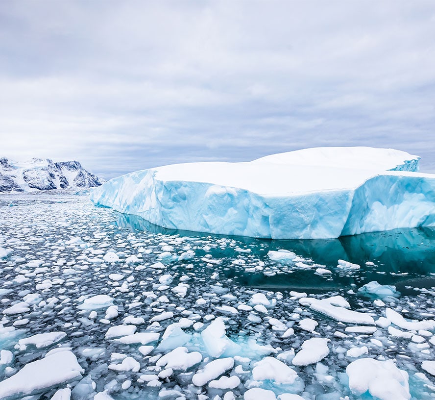 ICE Magazin: News & Infos zu Bodyforming | ICE AESTHETIC